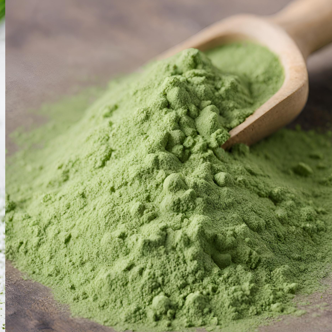 Wheatgrass Powder – Alexa Organics LLC - Natural Baby Products